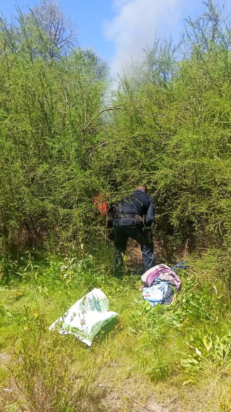 Elementos de seguridad destruyeron campamento de presuntos delincuentes ...